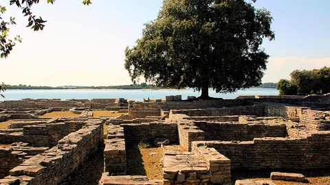 Brijuni National Park, Fažana - Pula, Croatia - Experience Concierge