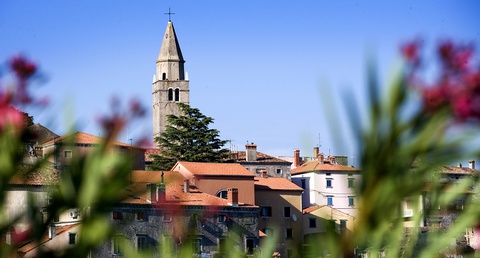 Istarski Razvod Cycling Trail - Trip to the Place of Origin of the ...
