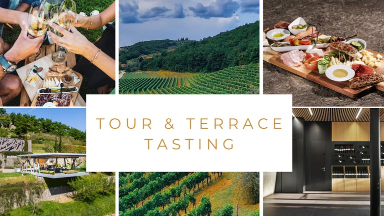 Vinarija Kozlović - Degustacija vina - Experience Concierge