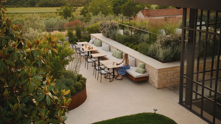 Degustacija vina Radovan - Istra - Experience Concierge
